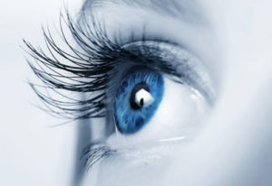 Spring House Eye Associates | Eye Care in Spring House & Glenside PA